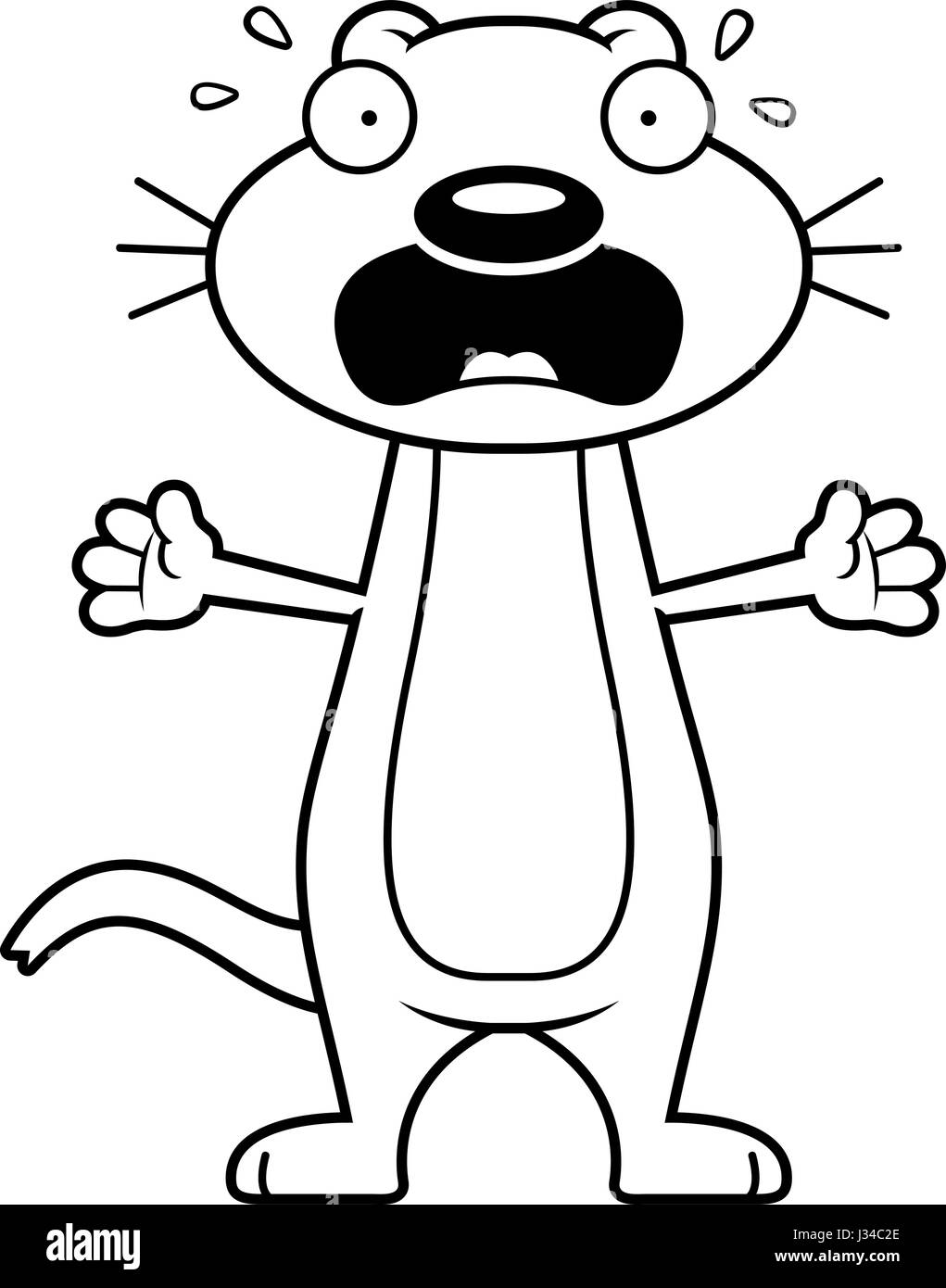 A cartoon illustration of a weasel looking scared Stock Vector Image ...