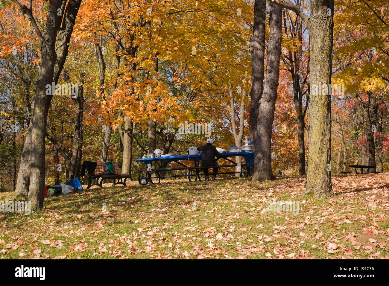 Frederick law olmsted mont royal hi-res stock photography and images ...
