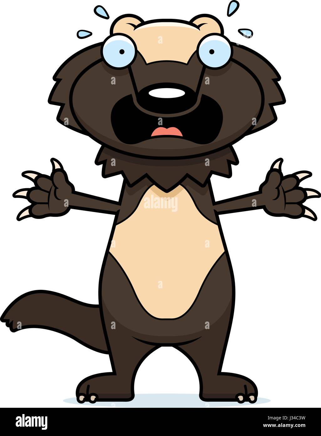 A cartoon illustration of a wolverine looking scared Stock Vector Image ...