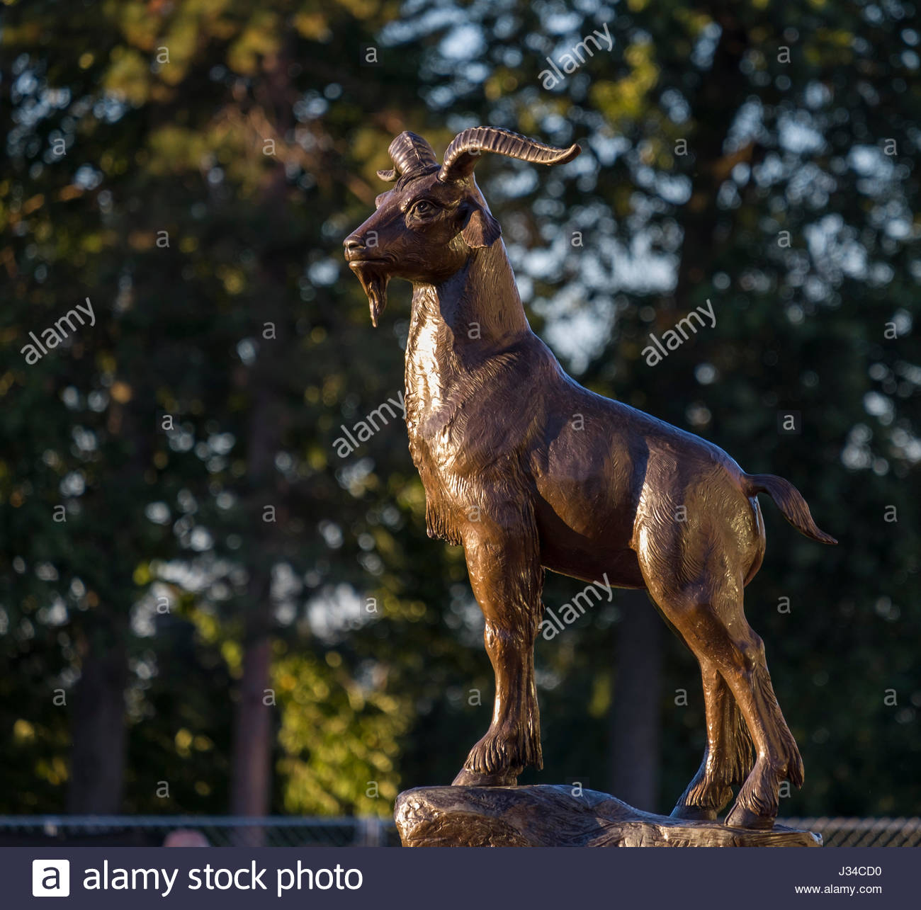 Worcester Polytechnic Institute High Resolution Stock Photography and ...