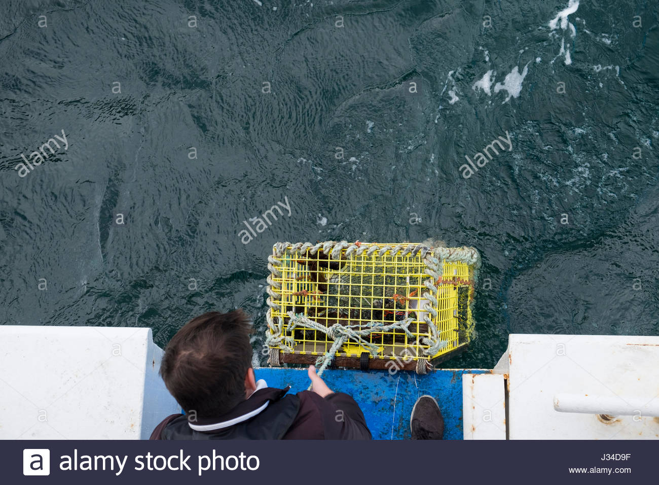 Man Hauling Stock Photos & Man Hauling Stock Images - Alamy