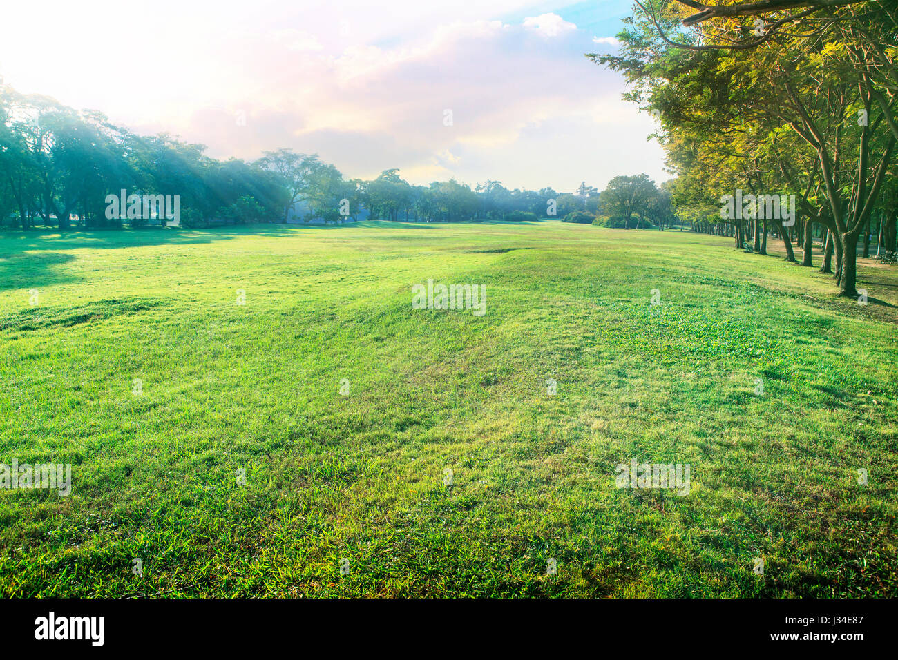 beautiful perspective landscape of green environment park and small ...