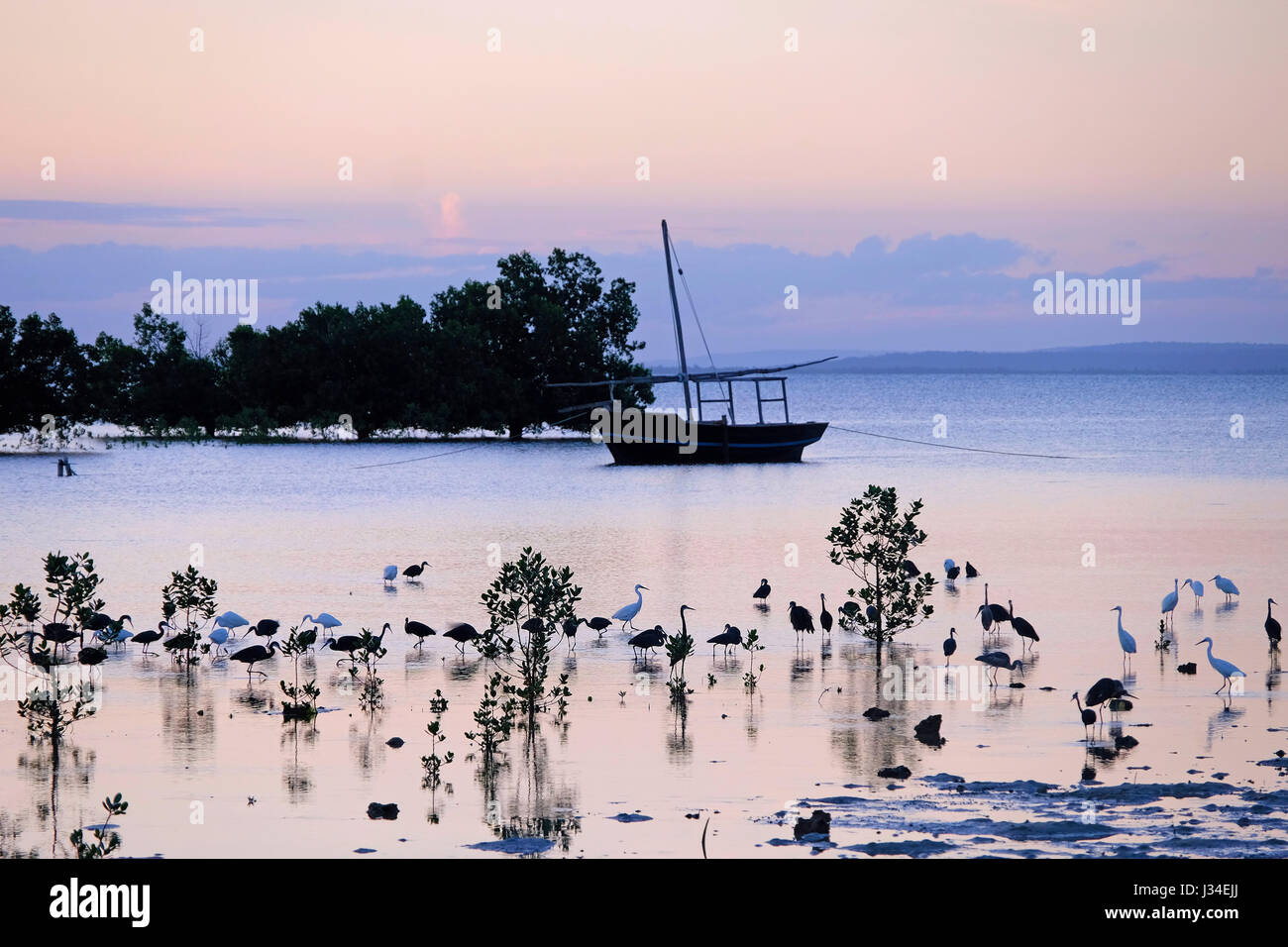 Sunset over the Indian ocean in Ibo island one of the islands in ...