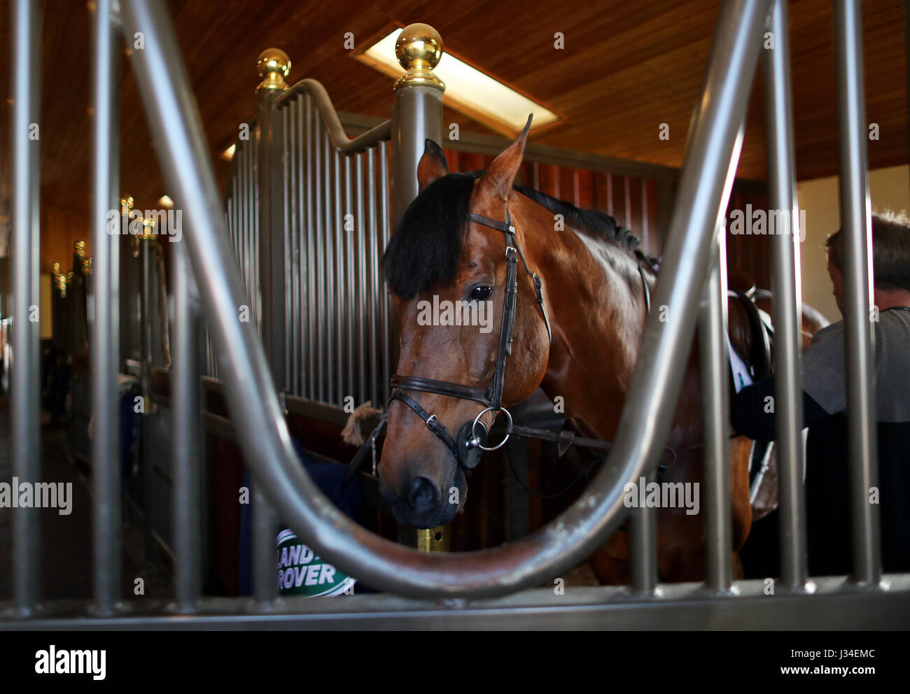 See pa story equestrian skelton hi-res stock photography and images - Alamy