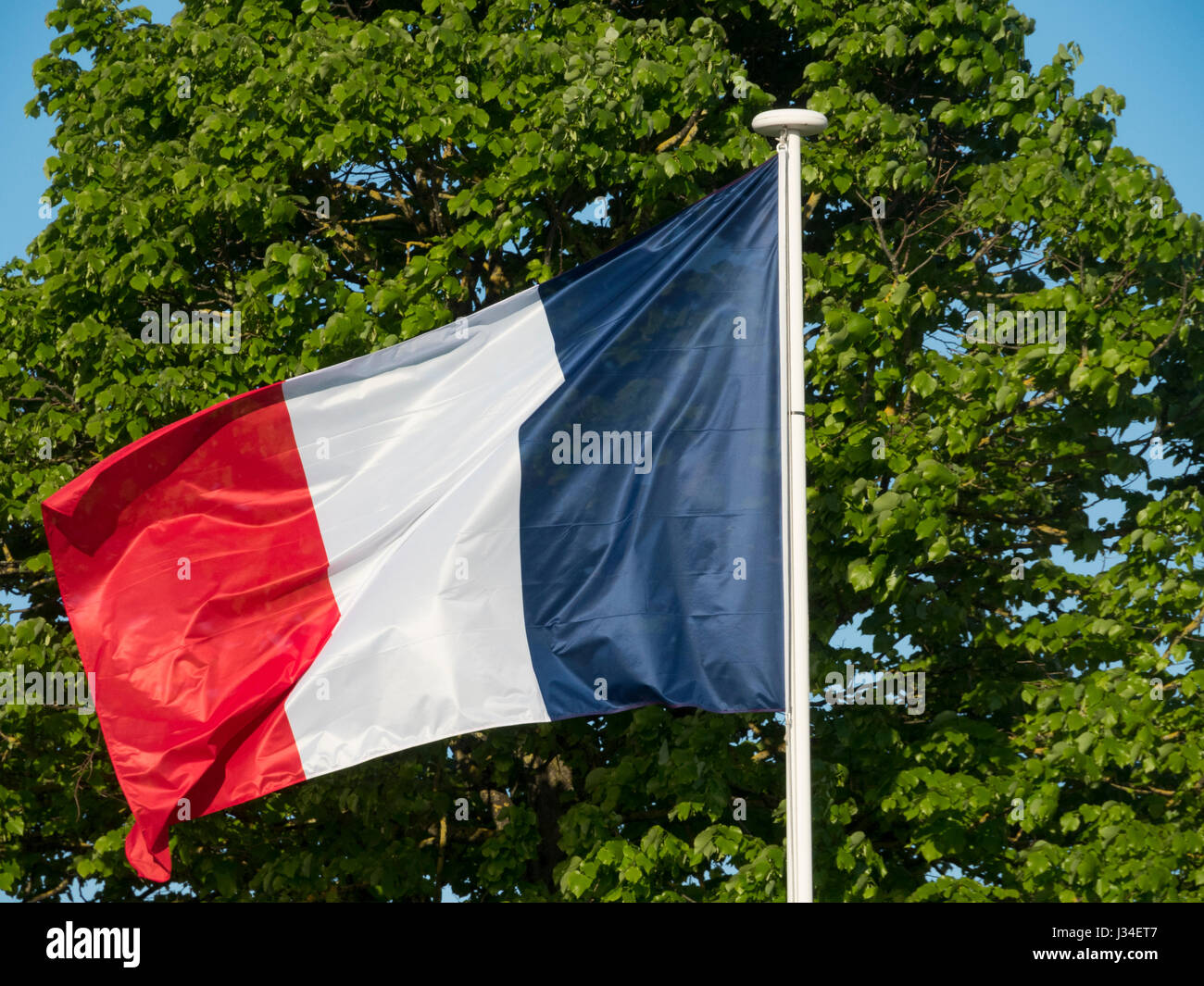 French flag floating in the wind Stock Photo - Alamy