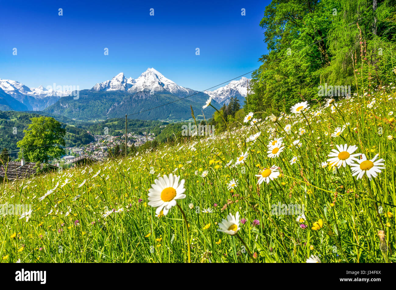 Panoramic view of beautiful landscape in the Bavarian Alps with famous ...