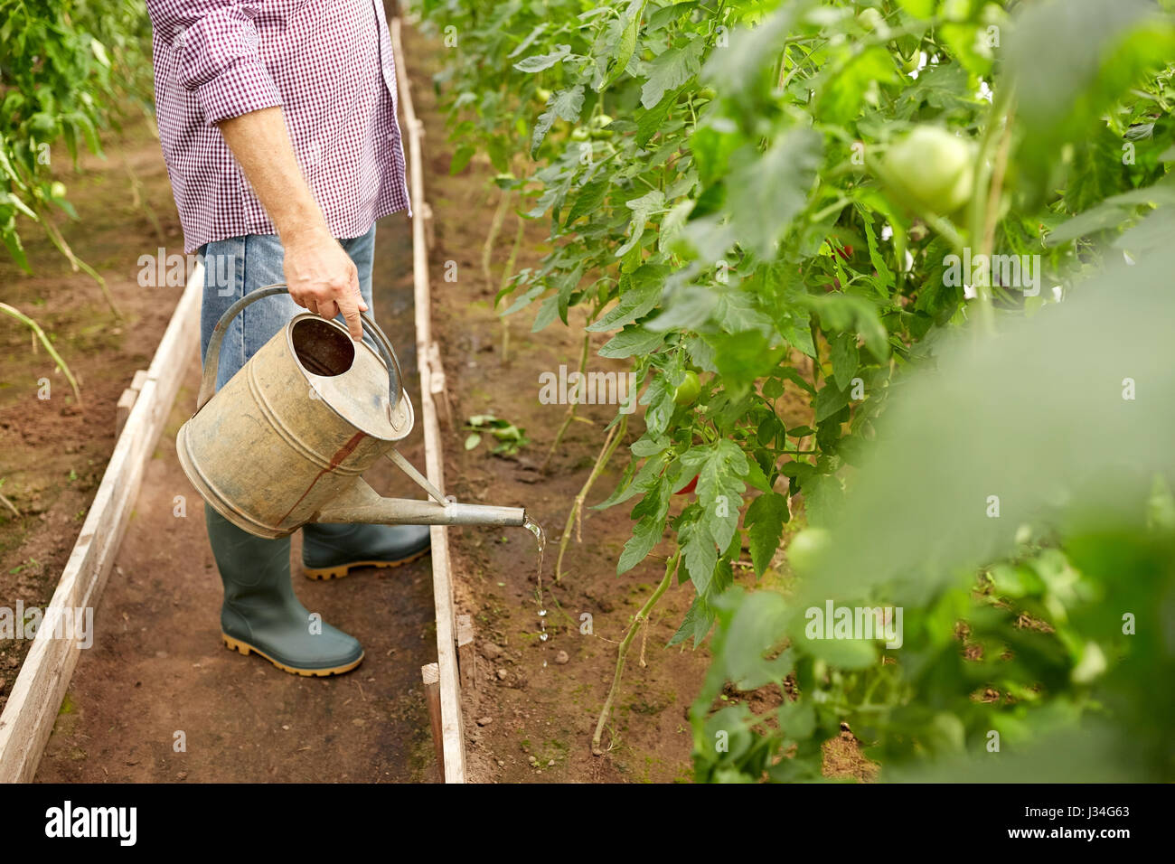 Man with can hi-res stock photography and images - Alamy