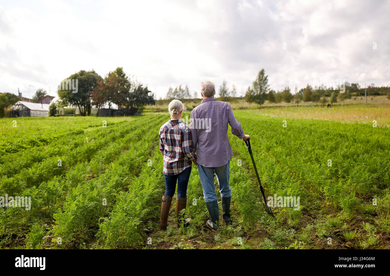 Elderly couple back garden hi-res stock photography and images - Alamy