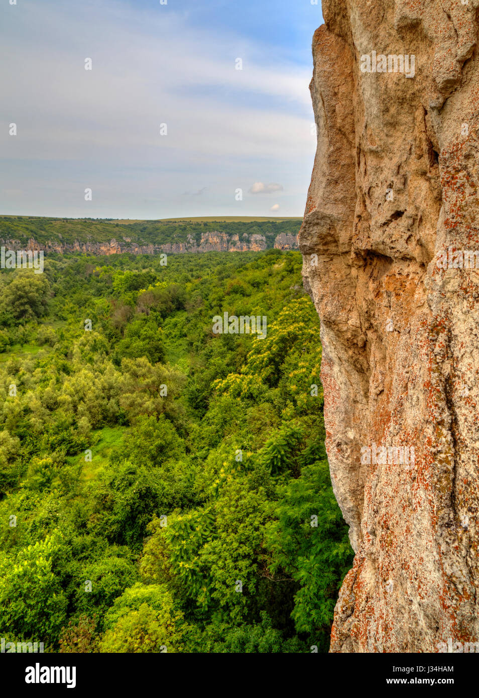 Beautiful summer landscape Stock Photo - Alamy