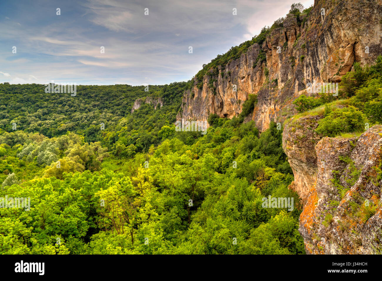 Beautiful summer landscape Stock Photo - Alamy