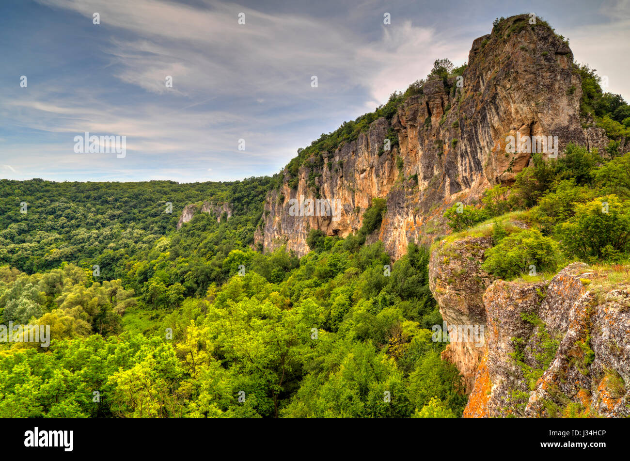 Beautiful summer landscape Stock Photo - Alamy