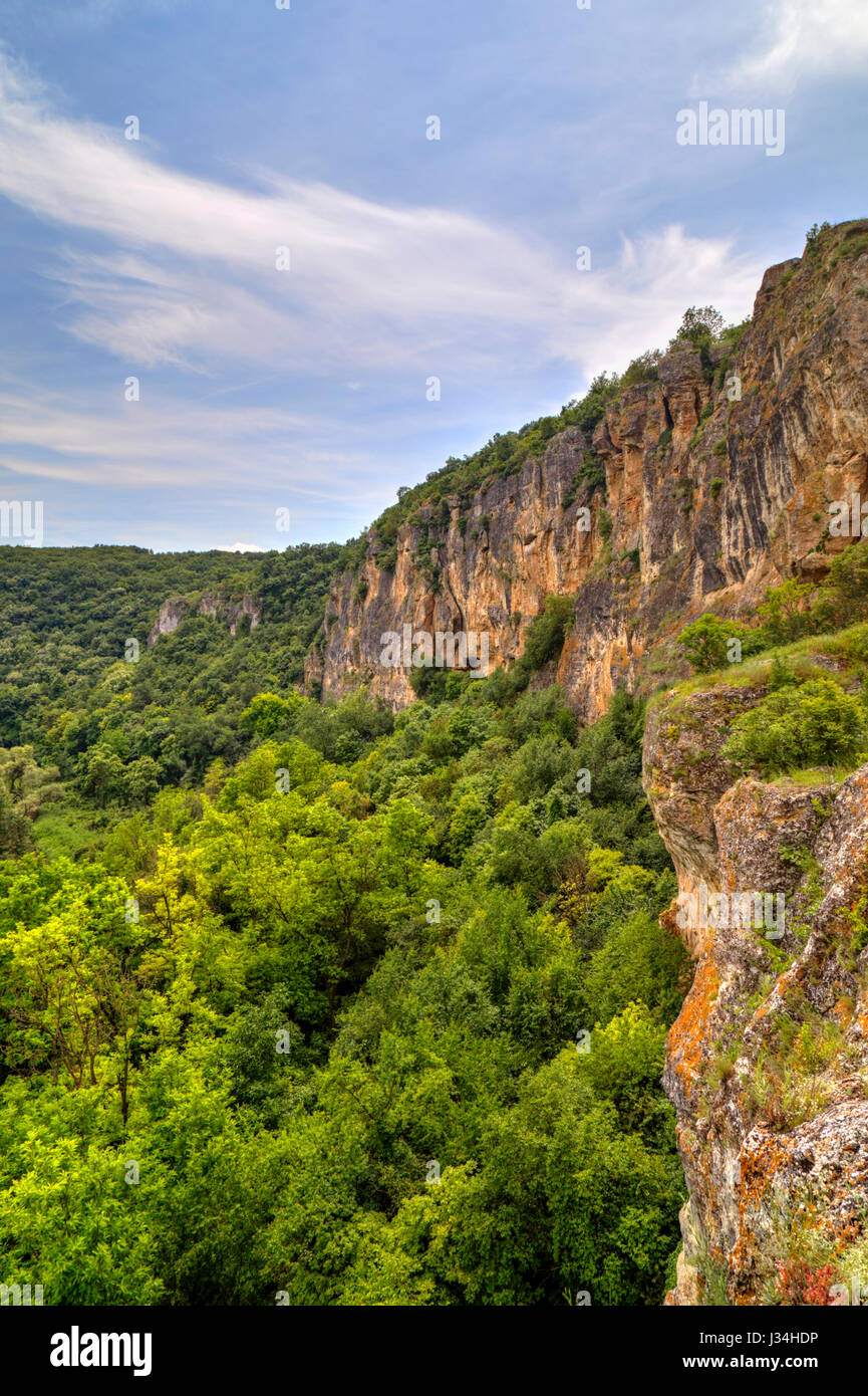 Beautiful summer landscape Stock Photo - Alamy