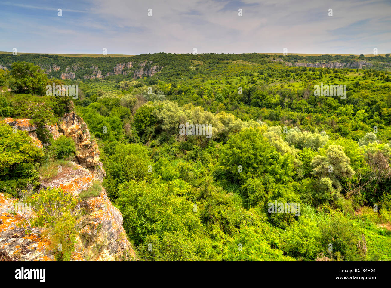 Beautiful summer landscape Stock Photo - Alamy