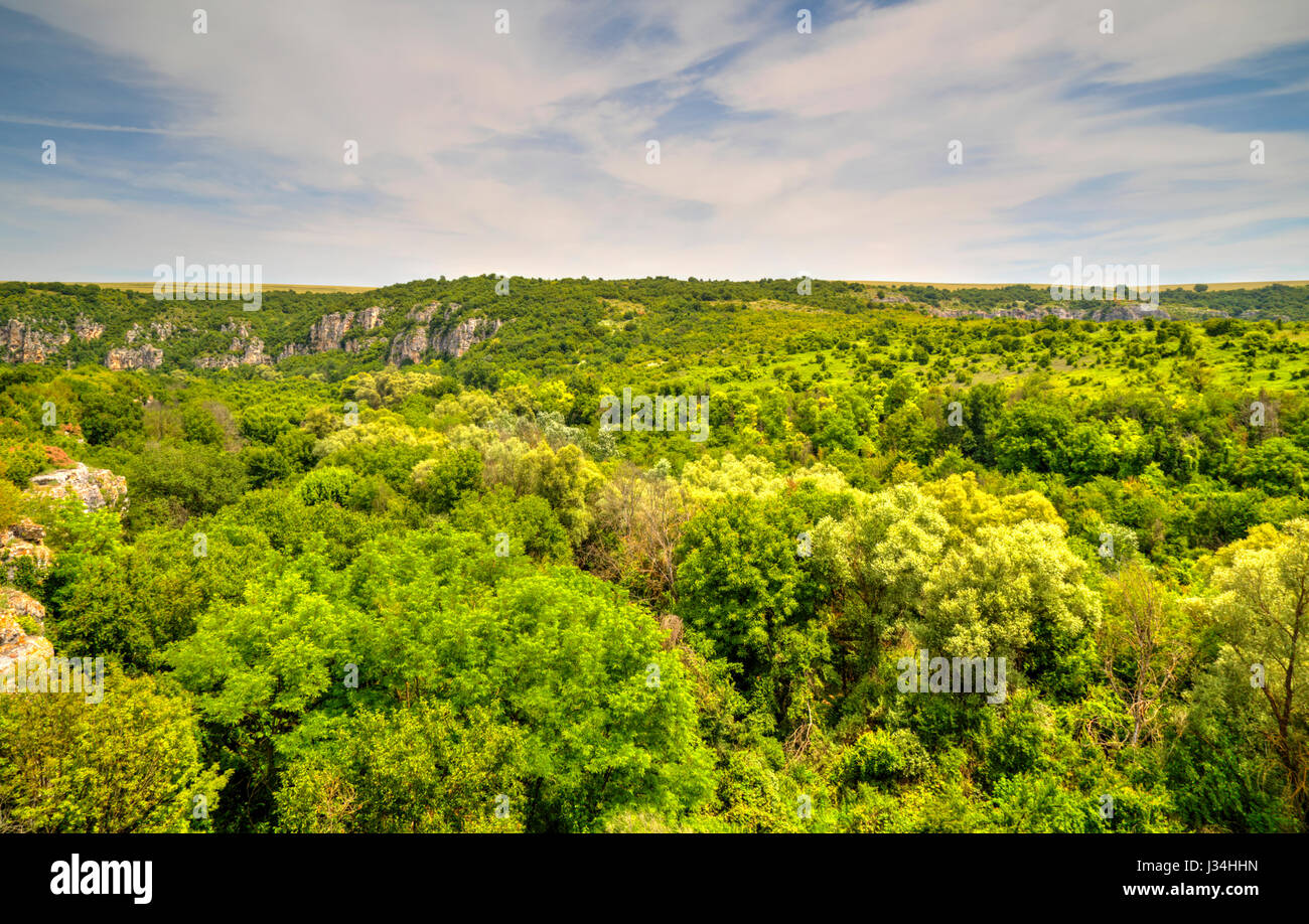 Beautiful summer landscape Stock Photo - Alamy