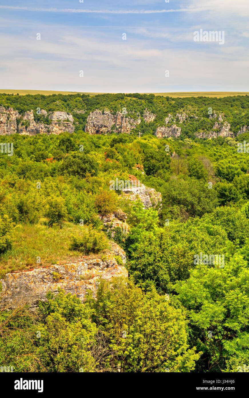 Beautiful summer landscape Stock Photo - Alamy