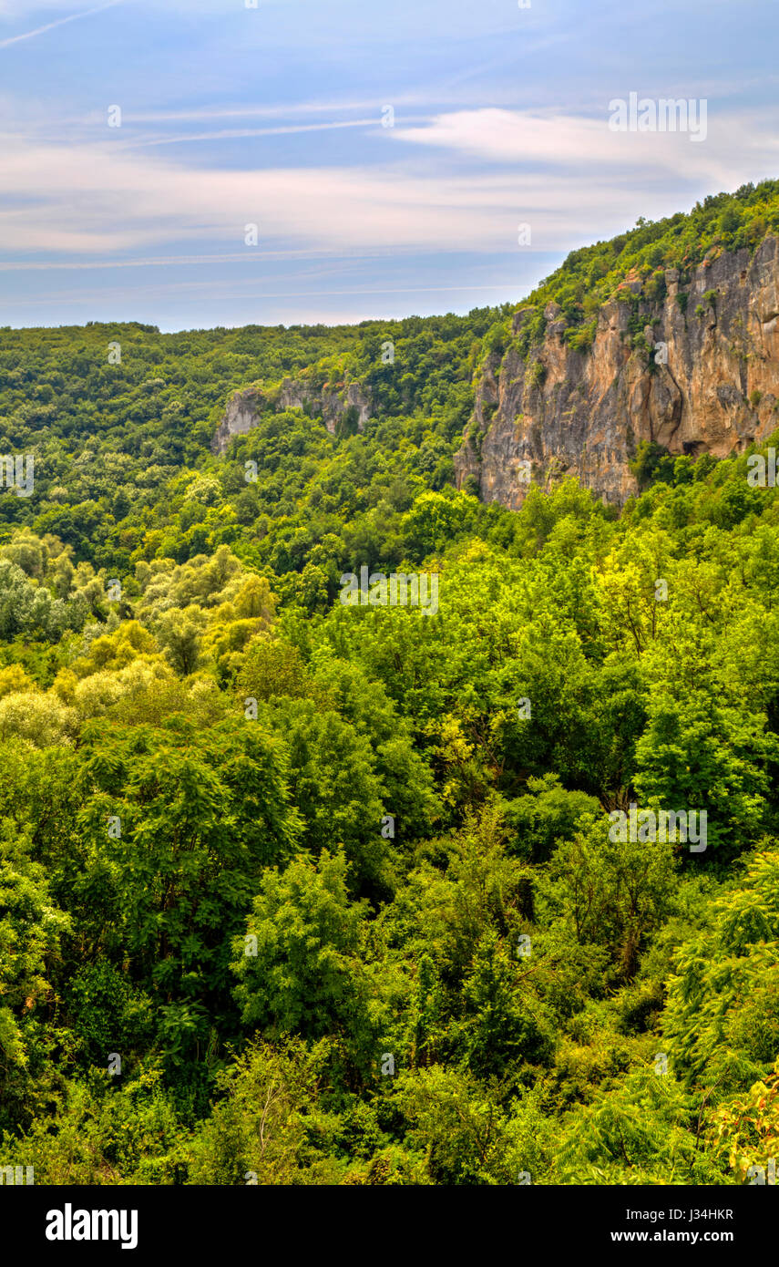 Beautiful summer landscape Stock Photo - Alamy