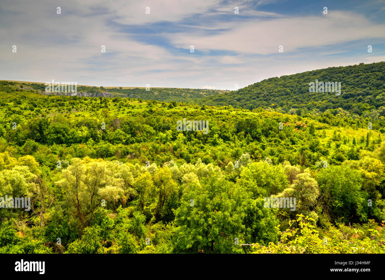 Beautiful summer landscape Stock Photo - Alamy