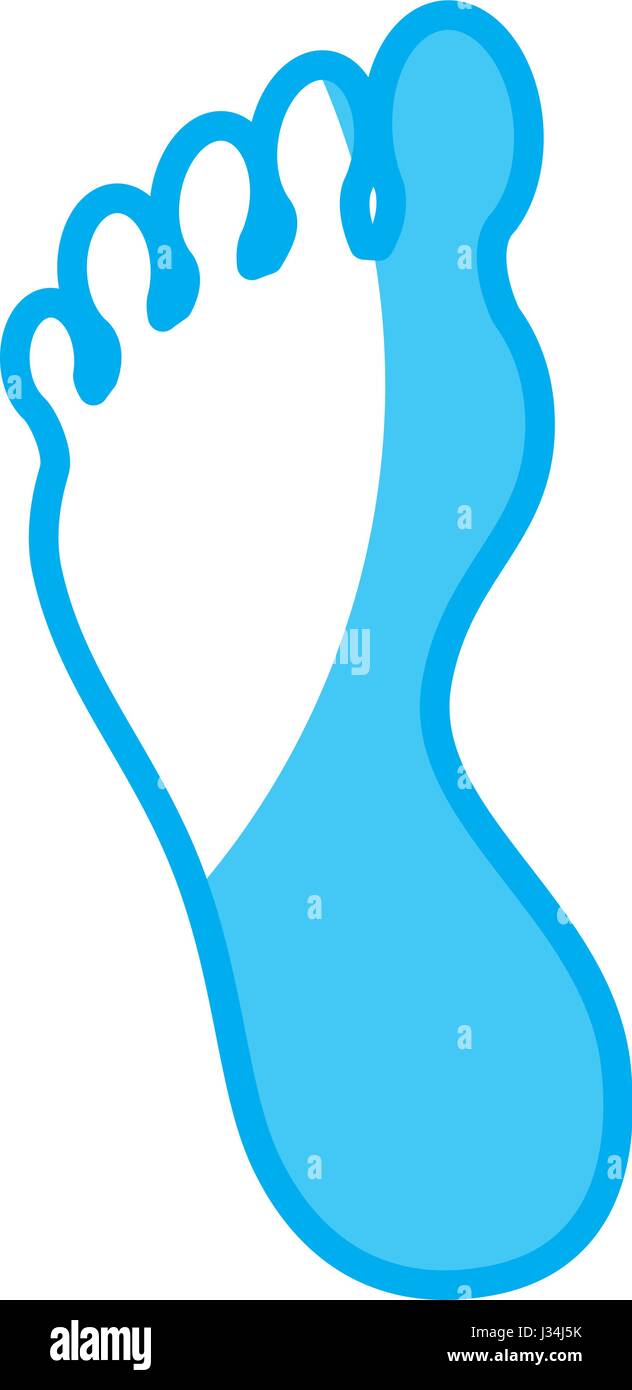 Human muscle foot anatomy Stock Vector Images - Alamy