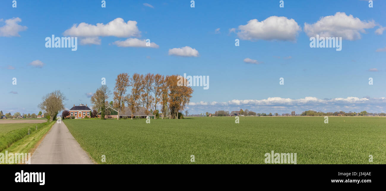 Narrow road leading to a farm in the dutch landscape near Groningen ...