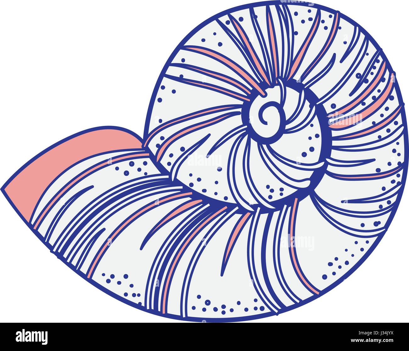 sea snail icon Stock Vector Image & Art - Alamy