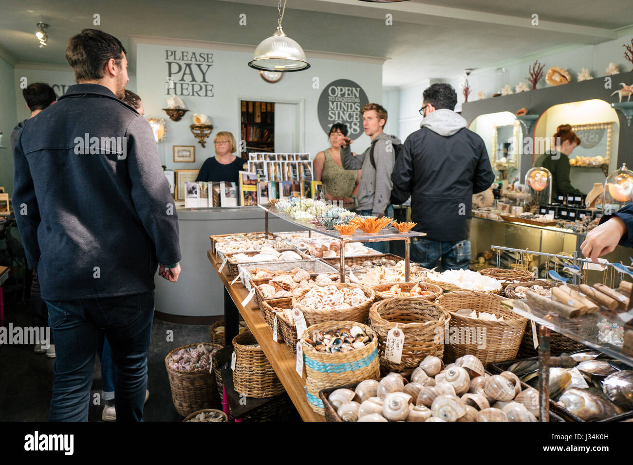 Margate shell grotto hi-res stock photography and images - Alamy
