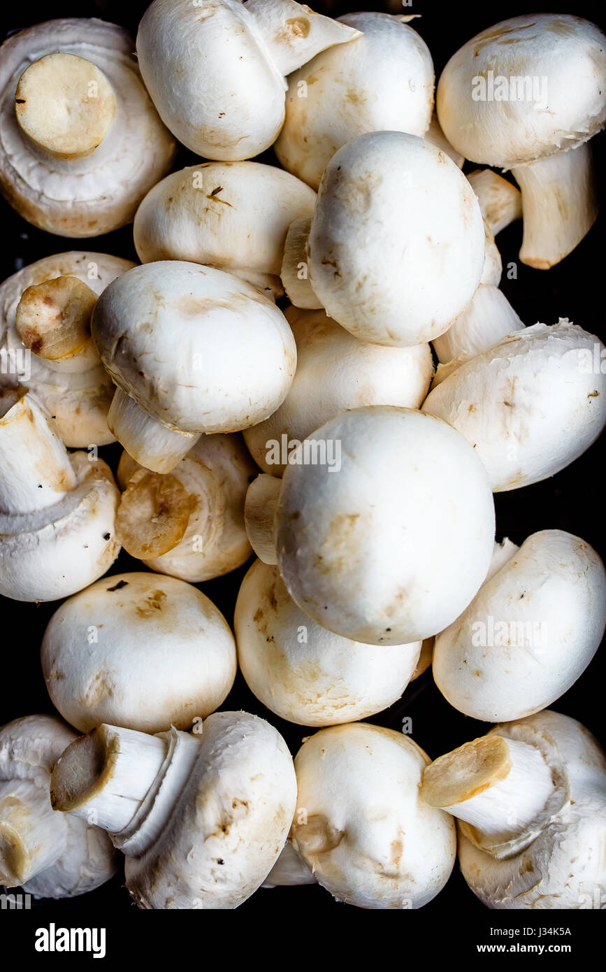 Small baby mushrooms Stock Photo - Alamy