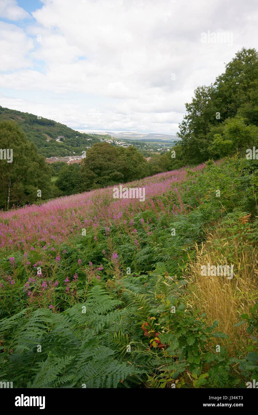 Ystalyfera hi-res stock photography and images - Alamy