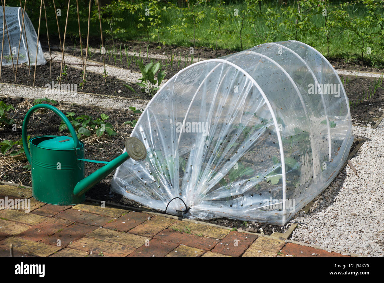 Garden cloche hi-res stock photography and images - Alamy