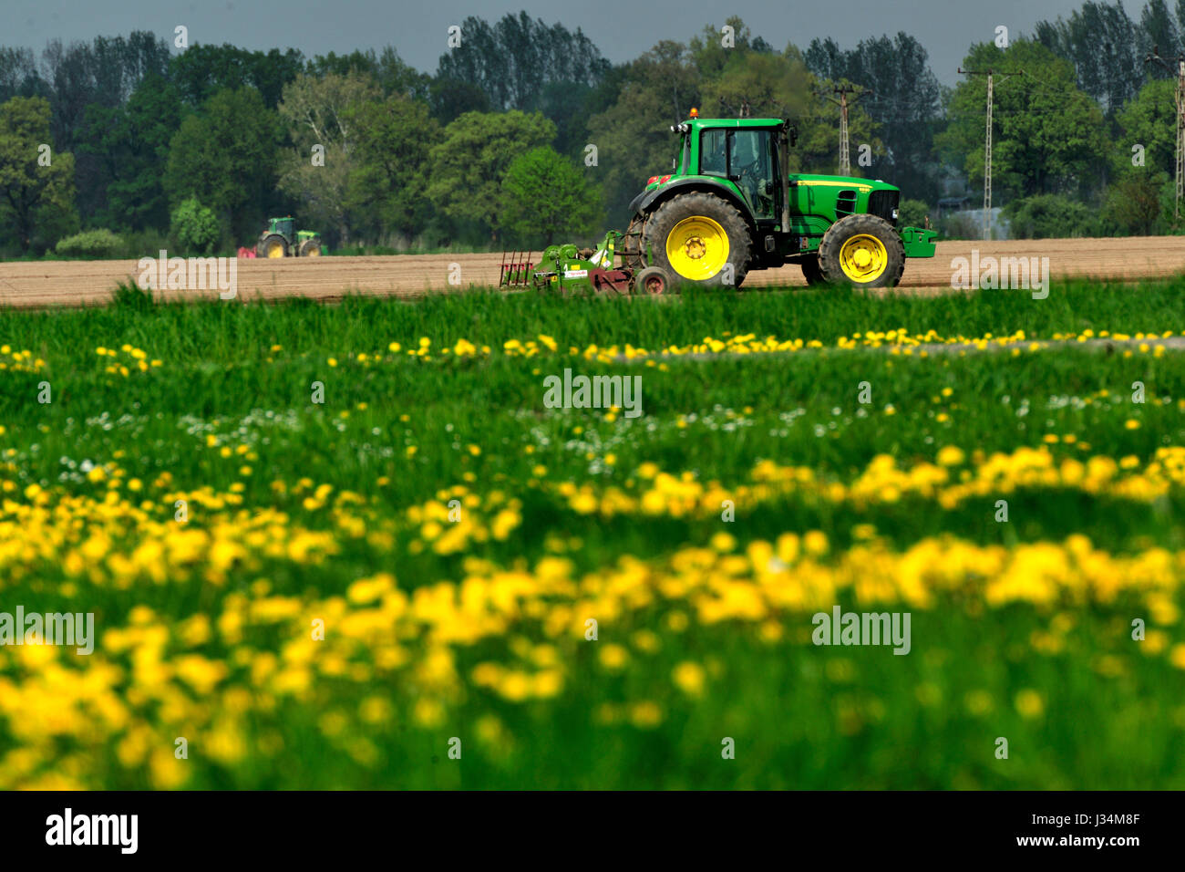 agriculture, blue, bright, colorful, colors, commercial, countryside ...