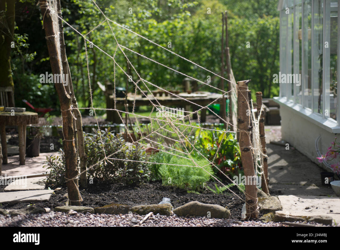 String webs in a garden Chipping, Preston, Lancashire Stock Photo - Alamy