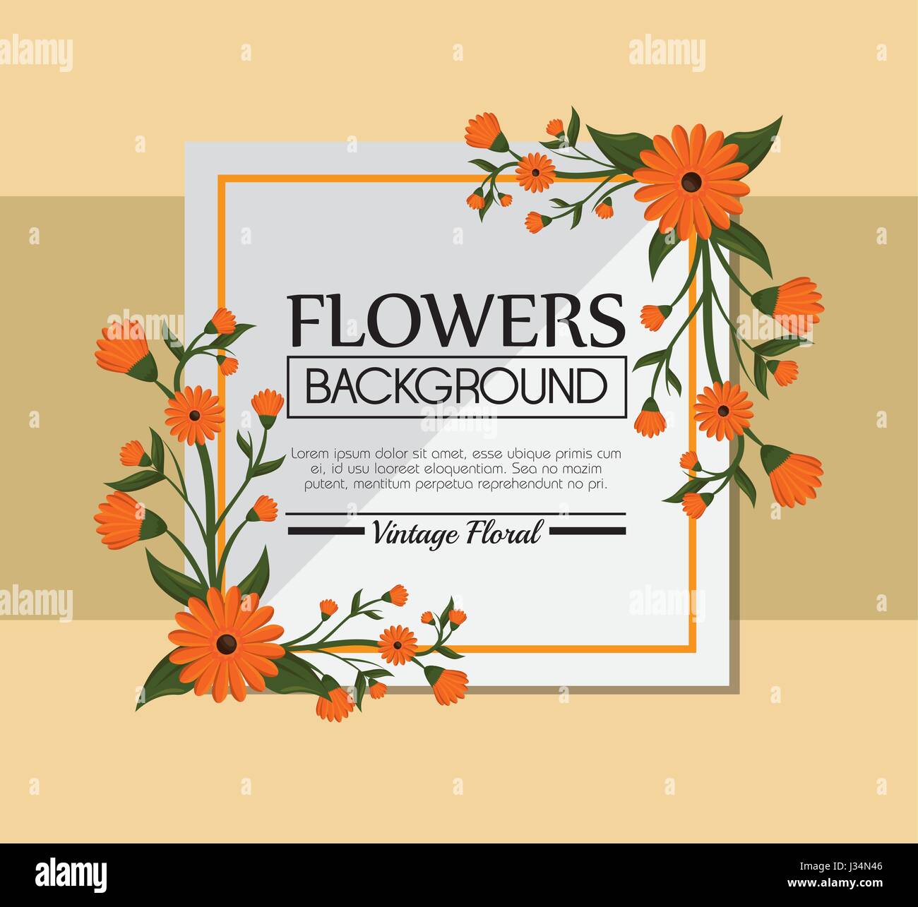 cute flower frame decorative background Stock Vector Image & Art - Alamy