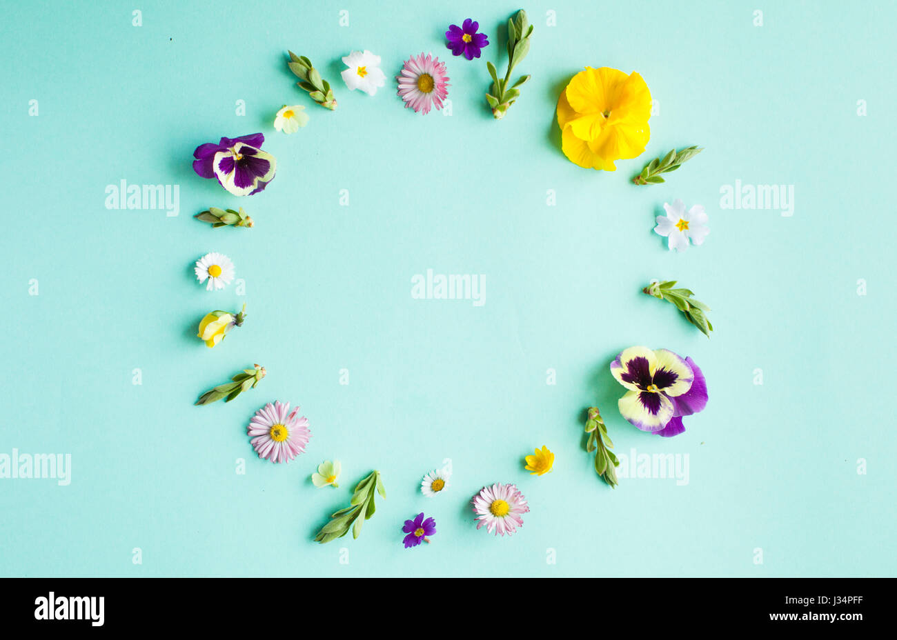 Spring flowers frame Stock Photo - Alamy