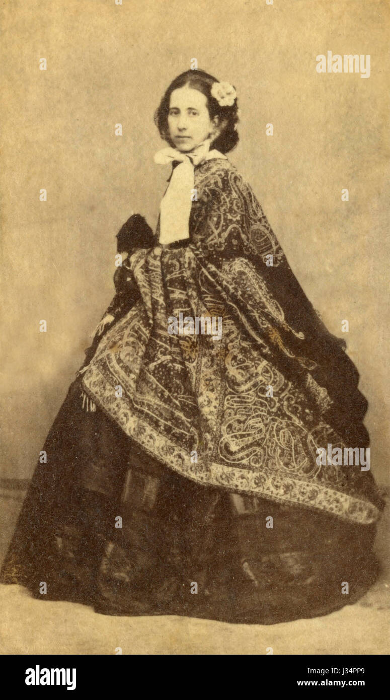 Cardelli High Resolution Stock Photography and Images - Alamy