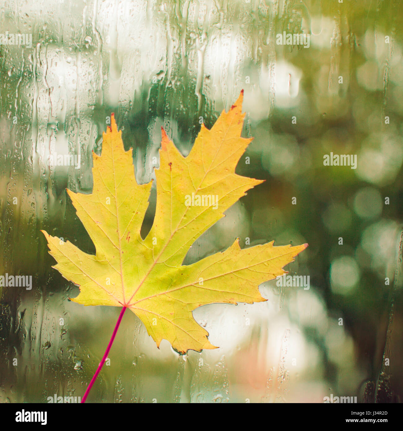 The view from the window on a rainy day Stock Photo - Alamy