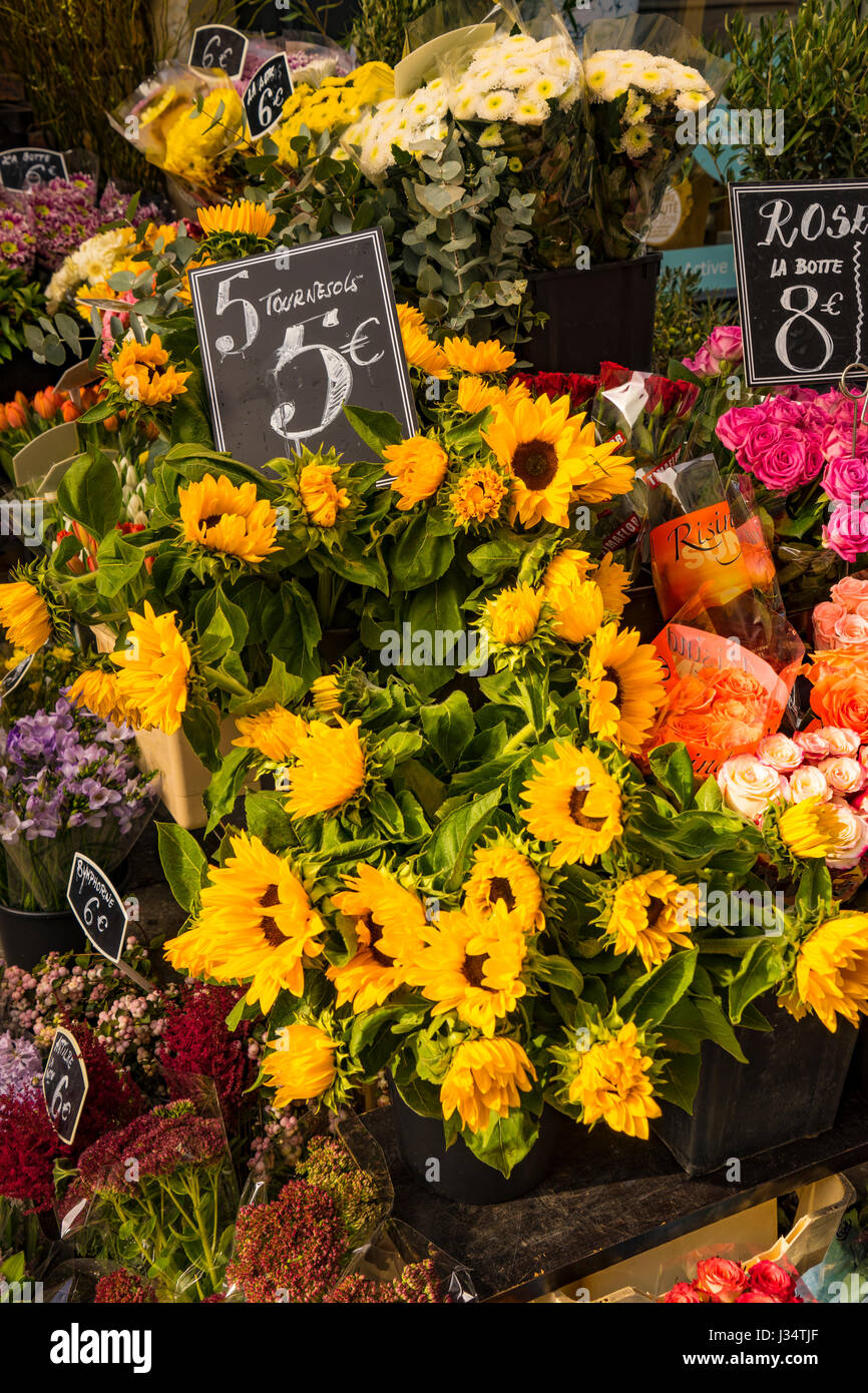 Yellow sunflowers for sale in Paris flower shop, with labels in euros ...