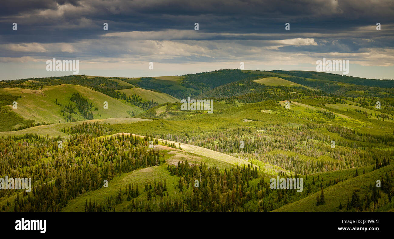 Idaho's green landscape Stock Photo - Alamy