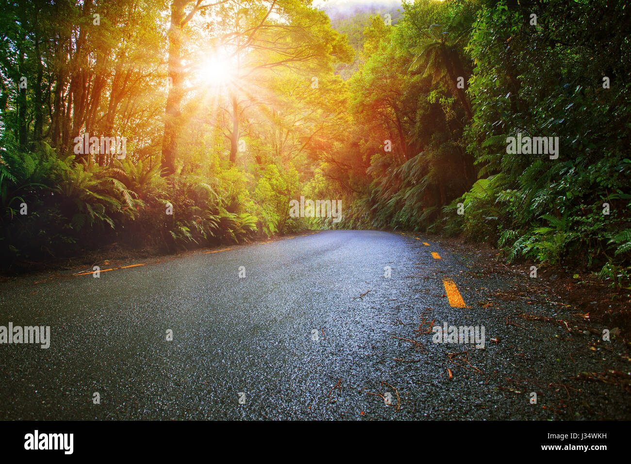 sun light in moisture mountain rain forest perspective asphalt road ...
