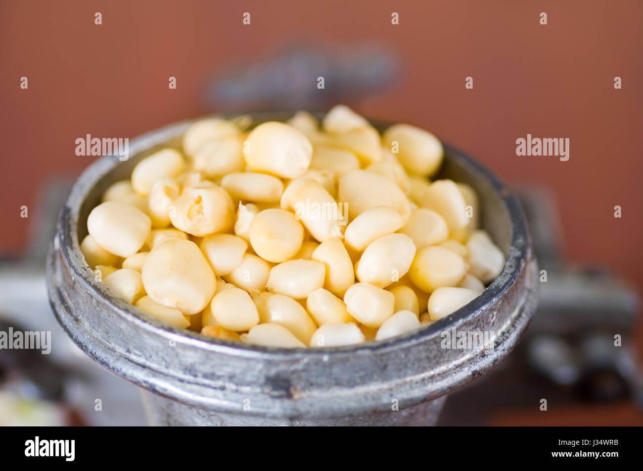 A close up from a metalic mill with some corn kernels Stock Photo - Alamy