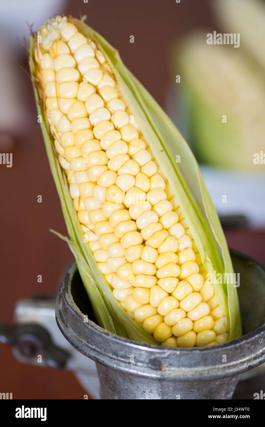 A perfect corn inside of a Mill pretending to be milled Stock Photo - Alamy
