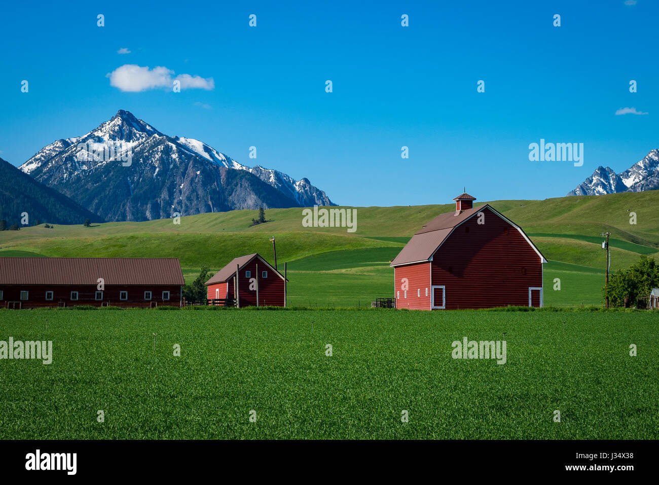 Red barn near the Wallowa Mountains in Oregon Stock Photo - Alamy