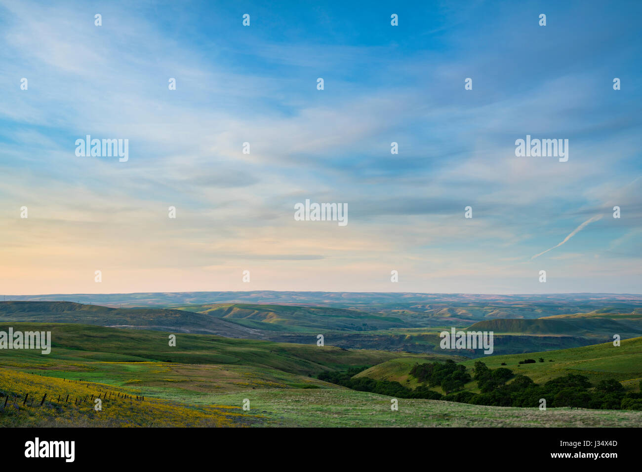 Eastern Oregon landscape near the Columbia River Gorge Stock Photo - Alamy