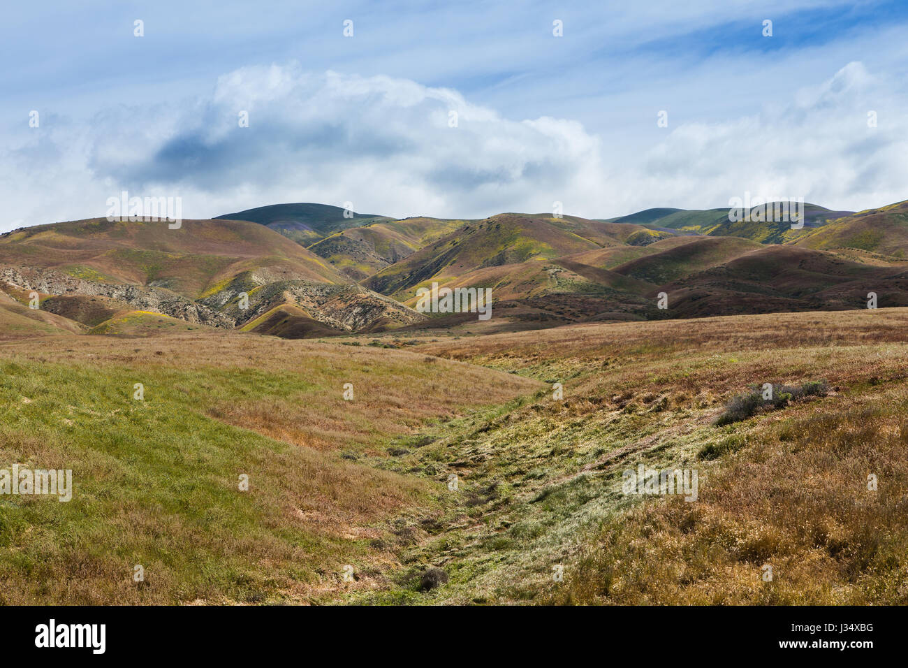 Wallace Creek in the Carrizo Plain California with the temblor range in ...