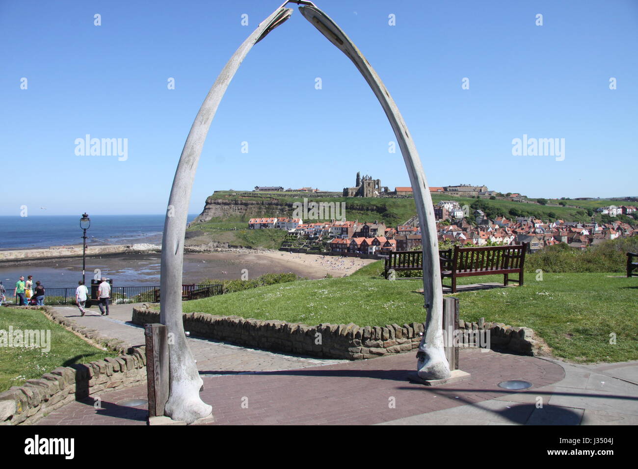 Whale fish bone hi-res stock photography and images - Alamy