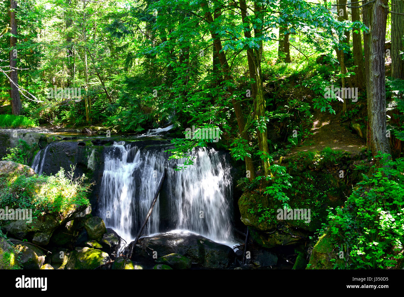 Whatcom falls park hi-res stock photography and images - Alamy