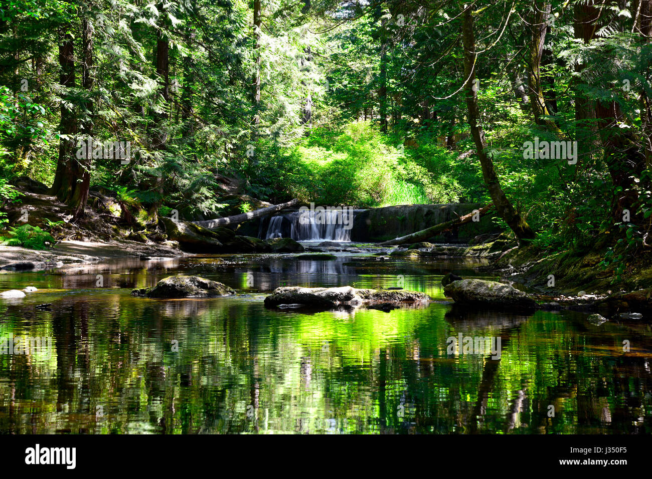 shallow waterfall, Whatcom Falls Park Stock Photo - Alamy