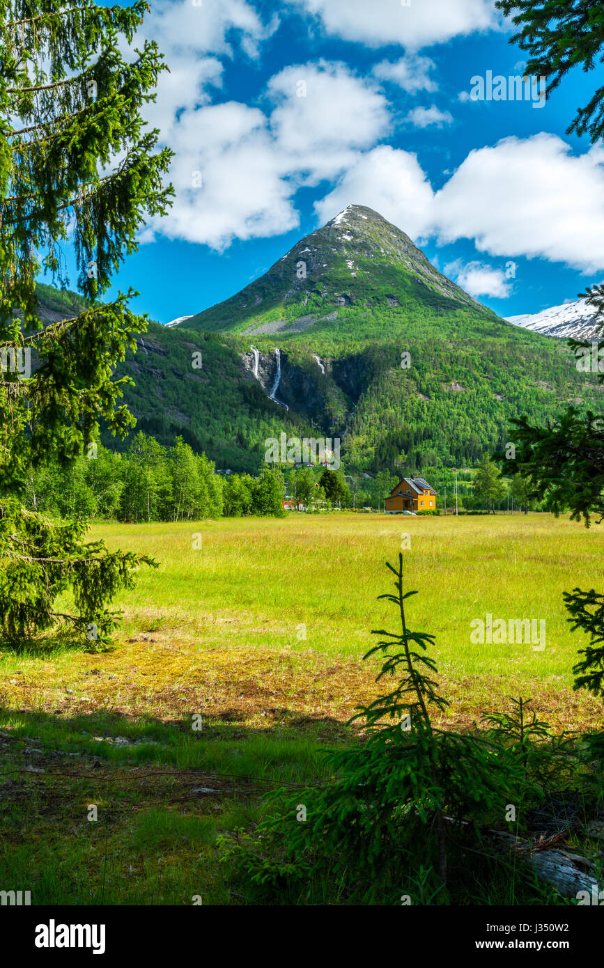 Cone Shape In Nature