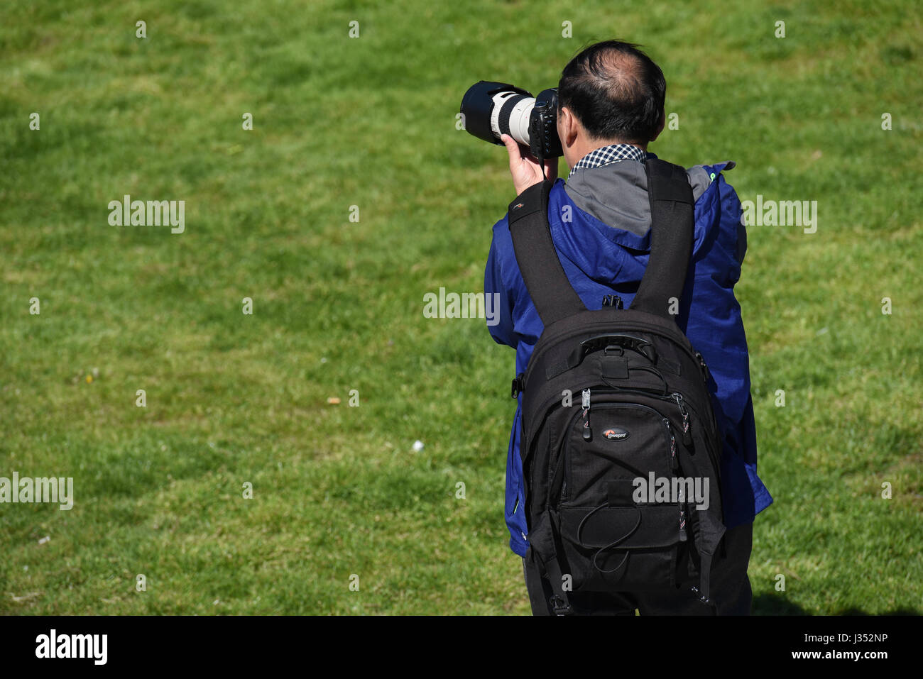 Professional photographer with a huge camera taking photographs in a ...