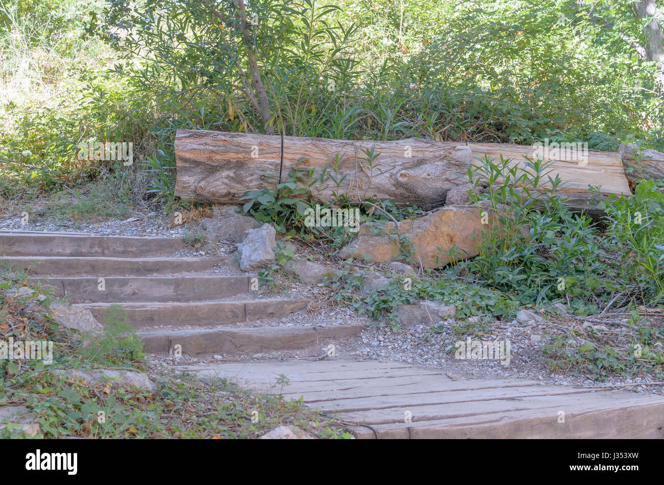 Rural area. Stairs made with natural wood of the forest. Trunk cut down ...