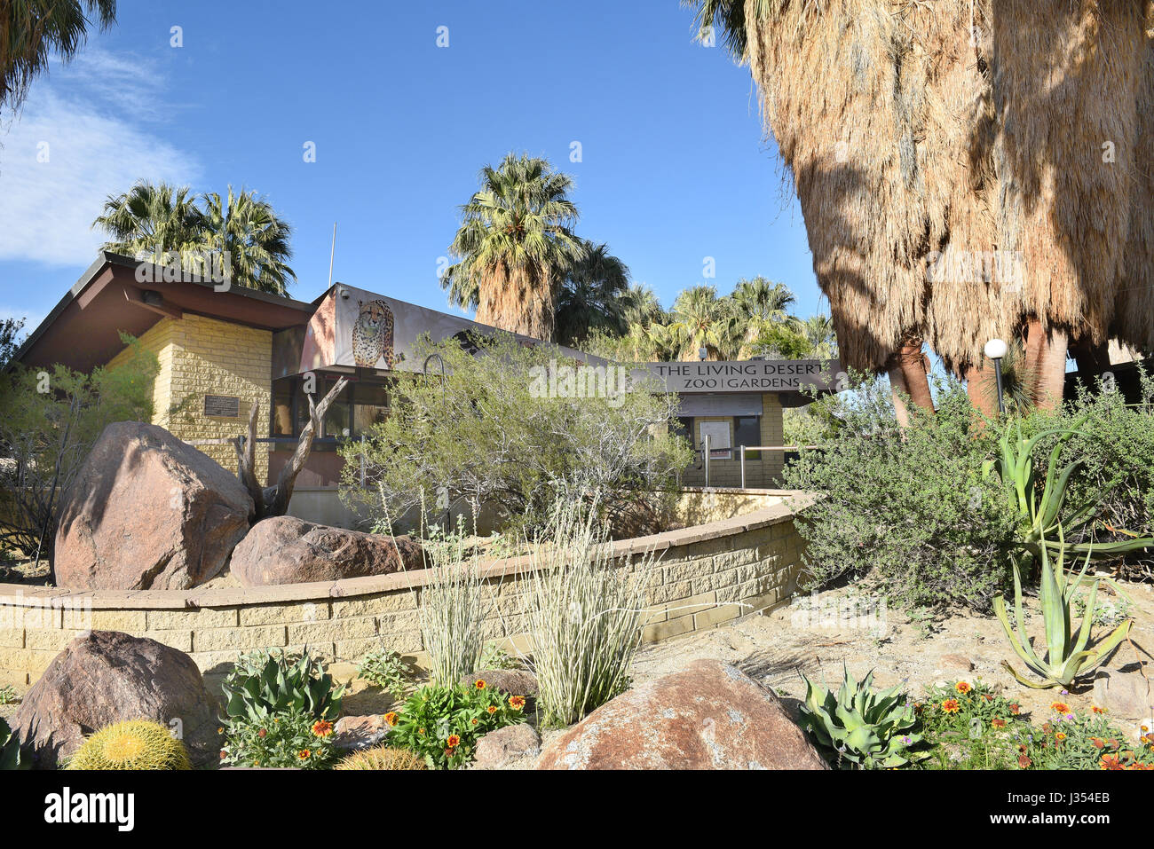 The living desert zoo and garden hi-res stock photography and images ...