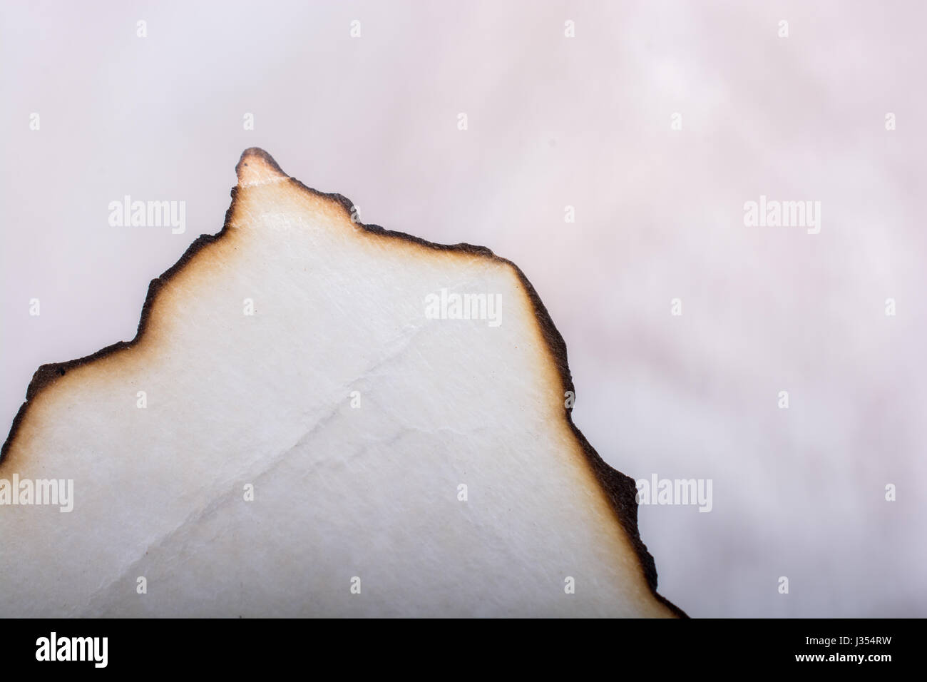 Piece of burnt paper placed on a white background Stock Photo - Alamy
